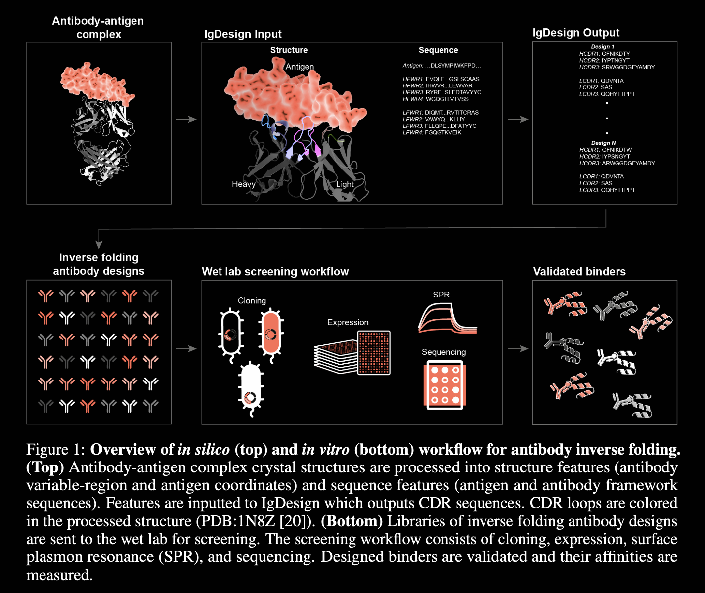 IgDesign: Absci抗体从头设计【潇洒记忆】
